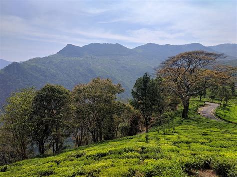 Bizcardx — Text Extraction Using Easy Ocr By Vijai R Medium