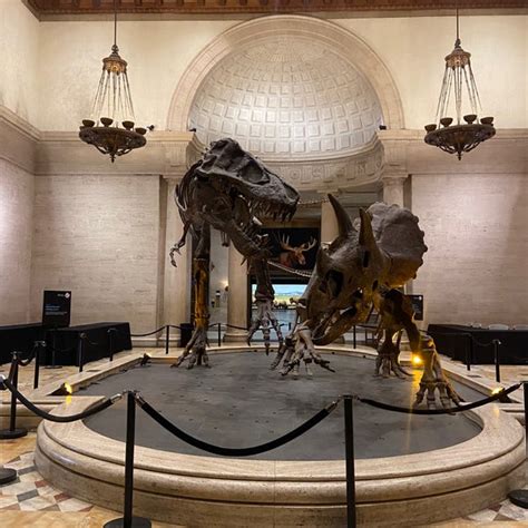 Natural History Museum Of Los Angeles County Museum In Los Angeles