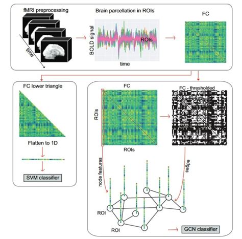 Functional Connectivity Signatures Of Major Depressive Disorder