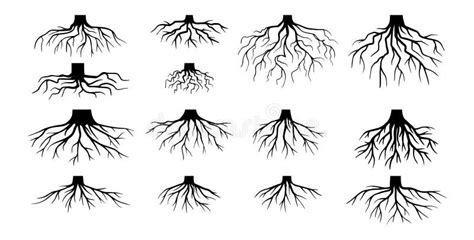 Various Realistic Tree Roots Shrub Roots Parts Of Plant Root System