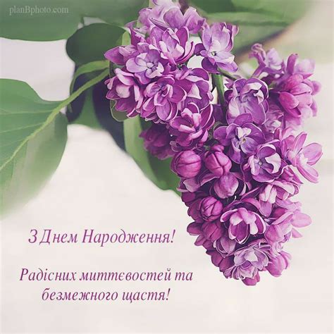 Пин от пользователя Оксана Хвостяк на доске З днем Народження Поздравительные открытки Букет