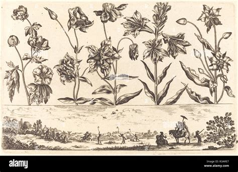 Flower Print No6 Dated 1645 Medium Etching Museum National