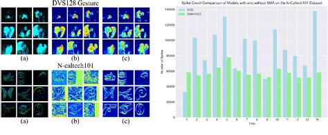 figure 1 from advancing spiking neural networks towards multiscale