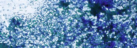 Bile Acid Analysis