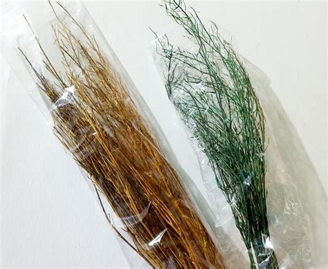 Jual Bunga Sawi Kuning Kota Surabaya Toko Bunga Terpercaya 2008