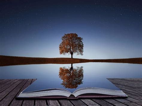 Year KS Reflection And Refraction Quiz Teaching Resources