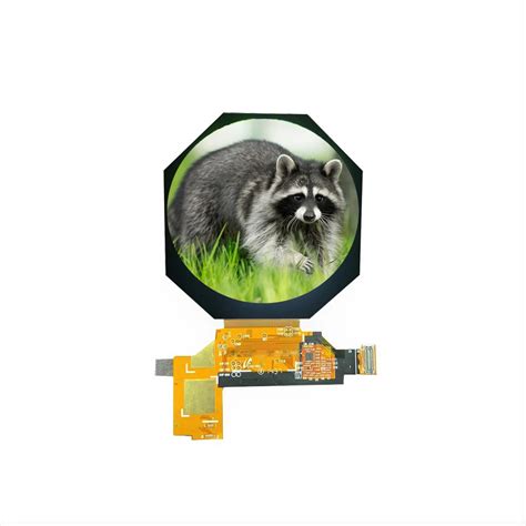 Ips Round Display Inch Round Lcd Mipi Dsi Circular Display Touch Buy Round Display