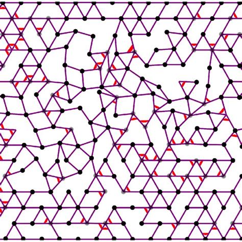 deformed configuration a compositely crosslinked semiflexible network