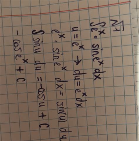 Ex Sinex Dx U Ex Du Ex Studyx