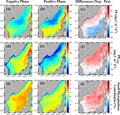 Spatial Distribution Of The Mean Pp Mg C M⁻² D⁻¹ Mean Ppsmall Mg