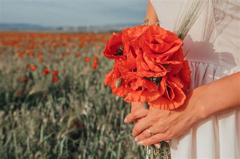 양귀비 꽃다발을 들고 흰색 드레스를 입은 신부 붉은 양귀비 들판의 배경에 따뜻한 일몰 시간 공간을 복사합니다 평온함 침묵 자연과의 단합의 개념 패션에 대한 스톡 사진 및