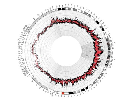Applications Of Circos Circos Circular Genome Data Visualization