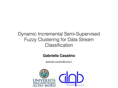 Dynamic Incremental Semi Supervised Fuzzy Clustering For Data Stream