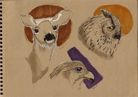 School Assignment Dynamic Sketching Sketches Illustration Drawings