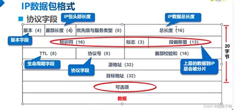 网络层协议详解：ip icmp与arp csdn博客