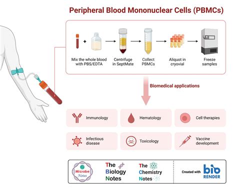 Microbe Notes Peripheral Blood Mononuclear Cells Pbmcs Facebook