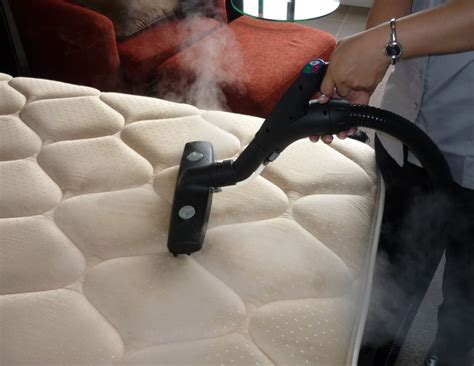 Learn How To Remove Bed Bugs In Your Home The Happy House Cleaning