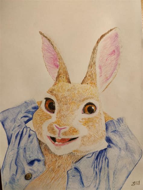 Peter Rabbit Colour Pencil 148 210mm Rart