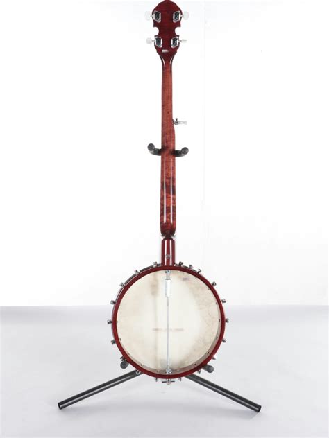 Johnson Open Back Five String Banjo With Remo Head And Soft Shell Case Ebth