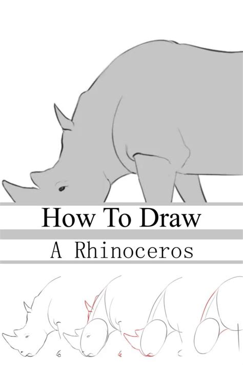Easy Rhino Drawing Ideas For All Skill Levels DIYsCraftsy