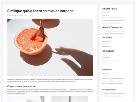 Sydney Fast Customizable WordPress Theme