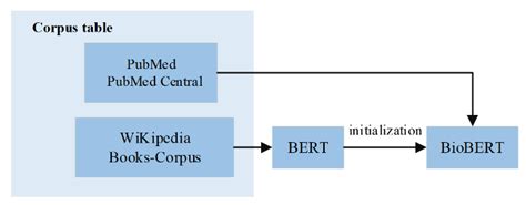 A Bbl Model Diagram 31 Biobert Medical Text Pre Training The