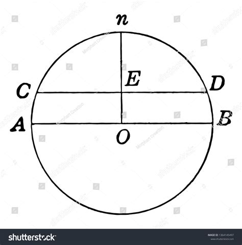 Diagram Circle Diameter Segment Used Find Stock Vector Royalty Free