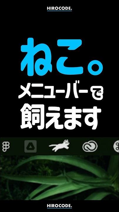 ねこ、macのメニューバーで飼えます【runcat】 Shorts コーディング プログラミング Htmlcss Html Css Javascript Webデザイン