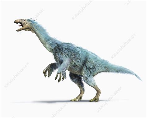 Alxasaurus Illustration Stock Image C051 5456 Science Photo Library