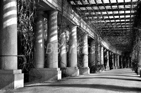 Columns Architecture Photo Alleyway Graphic By Vladaartstudio