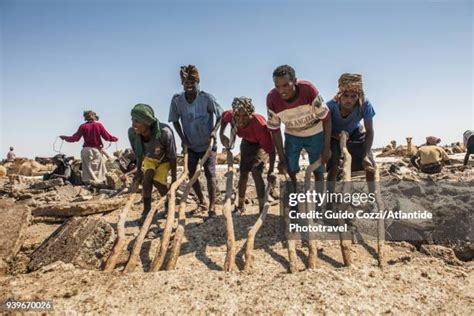 Salt Extraction Photos And Premium High Res Pictures Getty Images