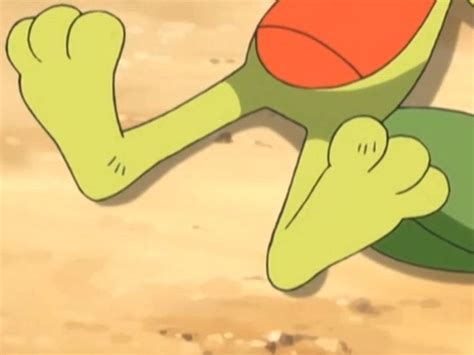 Pokemonfeet