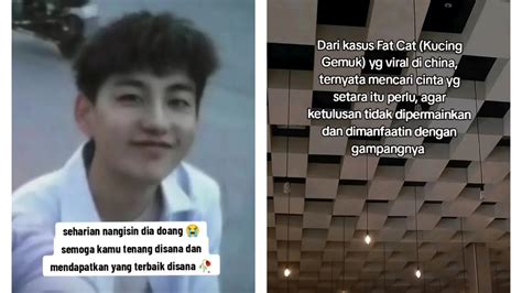 Berita Fat Cat Hari Ini Kabar Terbaru Terkini