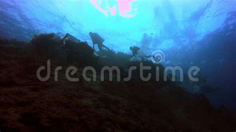 Ancient Fossils Are The Sedimentary Rock Of The Ancient Ocean A Unique Pattern Of Ancient