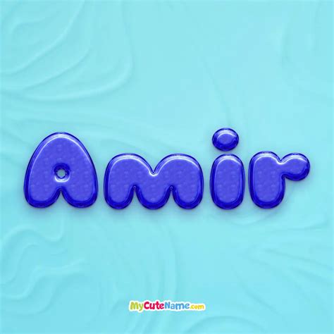Amir Meaning What Is The Meaning Of Name Amir [ Update 2025 ]