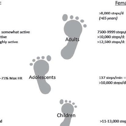 Recommended Step Counts For Individuals In Various Age Categories Step Download Scientific
