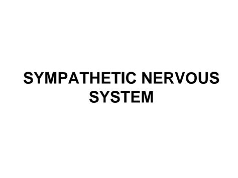 Solution Lecture 14 The Autonomic Nervous System Sympathetic Division
