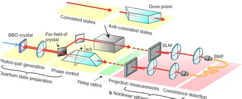 Schematic Of The Setup The Experiment Has Two Main Stages A Quantum