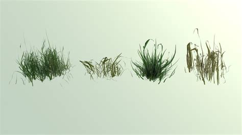 How To Create A Grass In Blender Creative Shrimp Grass Grass Field Blender