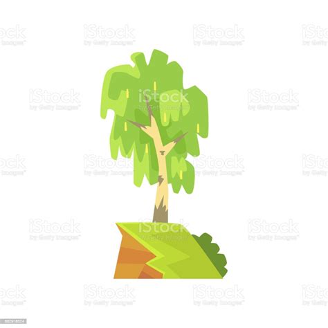 봄 또는 여름에 자작나무와 현장 프리 녹색 단풍과 낙 엽 나무입니다 손으로 그린된 숲 디자인 요소입니다 평면 벡터 0명에 대한 스톡 벡터 아트 및 기타 이미지 Istock