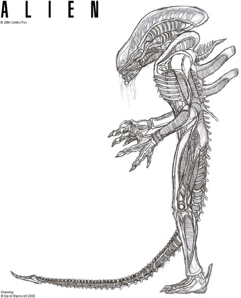 Xenomorph Drawing Easy At PaintingValley Com Explore Collection Of Xenomorph Drawing Easy
