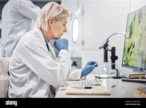 Science Research And Sample In Lab With A Doctor Woman Working On Scientific Analysis