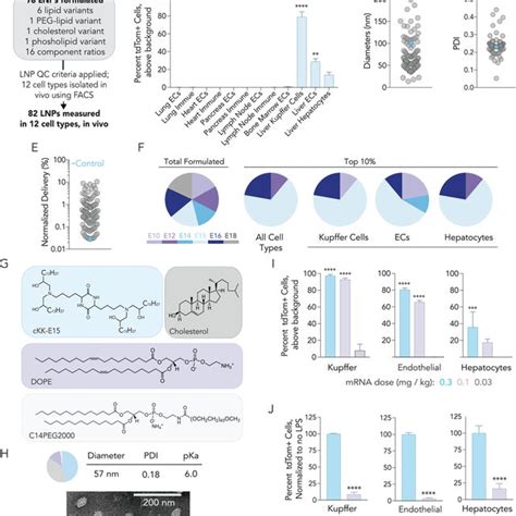 Lps Impacts Ckk‐e12‐mediated Delivery Of Mrna A Ckk‐e12 Was