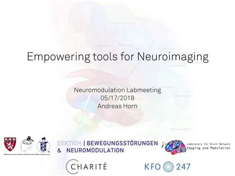 Empowering Tools For Neuroimaging Ppt