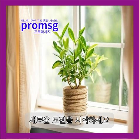 파주금촌동 금촌역 앞 웰빙스웨디시 한국관리사님 모십니다 마사지소식 프로마사지 마사지구인