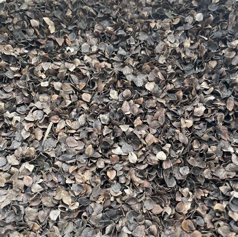 Ekologiškas Grikių Lukštų Mulčias 60 L Dekoskaldalt