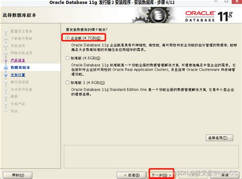 【银河麒麟v10】【服务器】oracle11g部署麒麟v10安装oracle11g Csdn博客