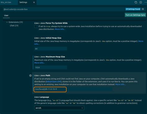Bagustrishome Configure Java 11 For Ltex In Vscode Ubuntu 1604