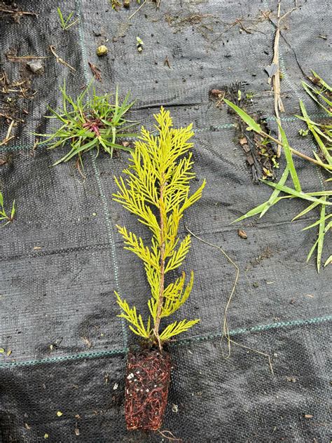 კოლხური ეზო კოლხური ეზო Added A New Photo