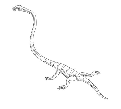 Coloring Pages Of Triassic 2025